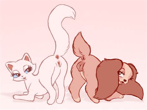 Rule 34 2d 2girls Anatomically Correct Anatomically Correct Genitalia
