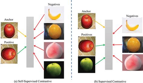 Multi‐modal Object Detection Via Transformer Network Liu 2023 Iet Image Processing Wiley