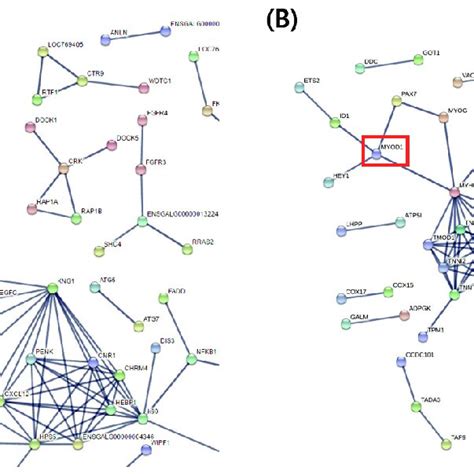 string analysis of differentially expressed genes degs processed by