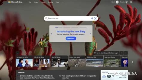 手机端chatgpt来了！new Bing 即用！快来！bing石南跨境物流导航