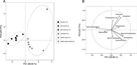 Multivariate Analysis Showing The Differentiation Of The Total Download Scientific Diagram