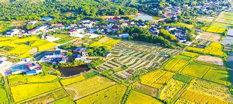 争先2022丨浏阳永安镇：奋进永安，聚力实干争先进位专题报道浏阳日报 浏阳网