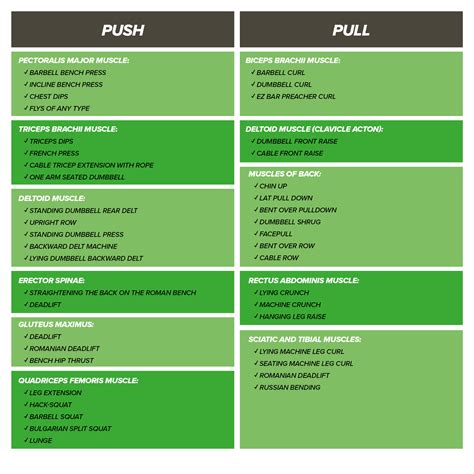 Characteristics Of Push Pull Training The Optimal Solution For Advanced Calypso Fitness S A