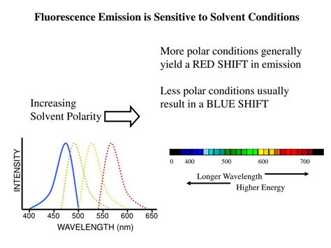 Ppt Fluorescence Lifetimes Powerpoint Presentation Free Download