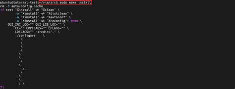 how to install vim on ubuntu 20 04 real time cloud services llc