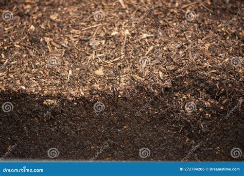 Mature Compost Ready To Use In Garden Produced In A Community Composter Concept Of Recycling