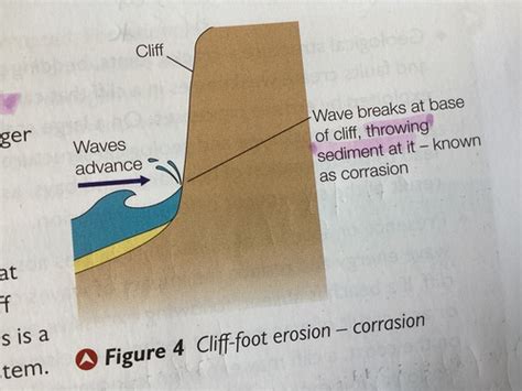 Geomorphological Processes And Distinctively Coastal Processes Flashcards Quizlet