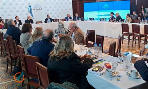 Senado El Debate Cerró Sin Dictamen Y Complicó A Milei Para Tener La
