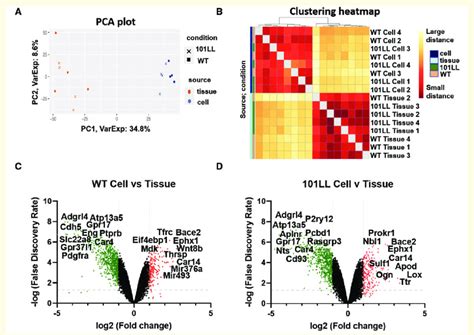 Microarray Analysis Highlighting Transcriptomic Profile Differences