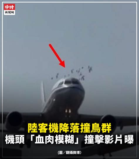 中時新聞網 【影》陸客機降落撞鳥群！ 機頭「血肉模糊」撞擊影片曝】 太可怕了 機頭 鳥群 客機 降落