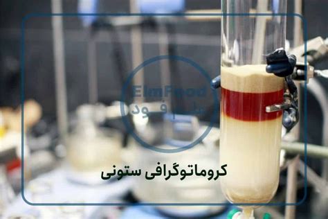 کروماتوگرافی ستونی در صنایع غذایی علم فود