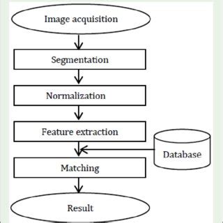Pdf Iris Recognition System Using Pca Based On Dwt