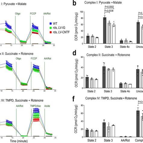 Quantification Of Mitochondrial Respiratory Chain Complex Download