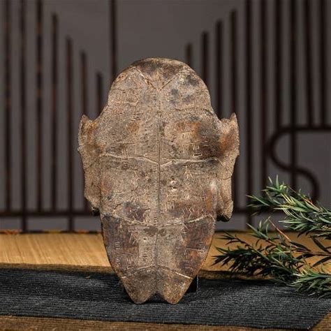 Shang Dynasty Turtle Shell Oracle Bone Inscriptions Jul 22 2022 Jubao Hall Auction House In Ny