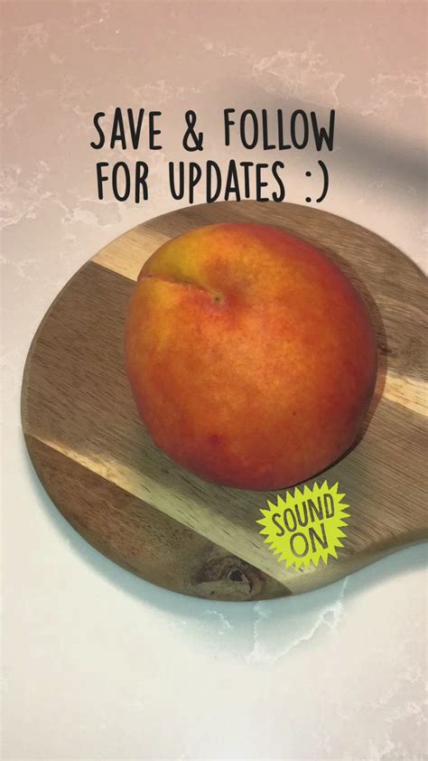 Growing A Peach Tree From Seed Peach Seed Germination Fruit Trees