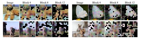 Diffrate Token Sota