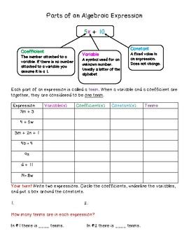 Parts Of Algebraic Expressions Notes By Eastcoastteaching Tpt