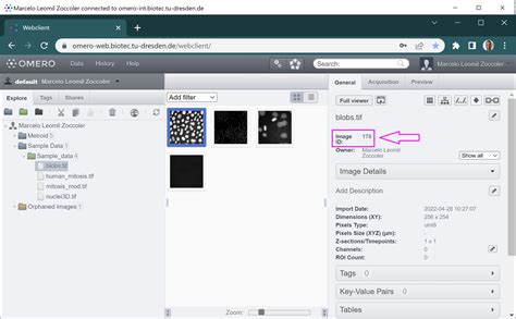 Running Deep Learning Scripts In The Bia Pol Omero Server Bia Pol Blog