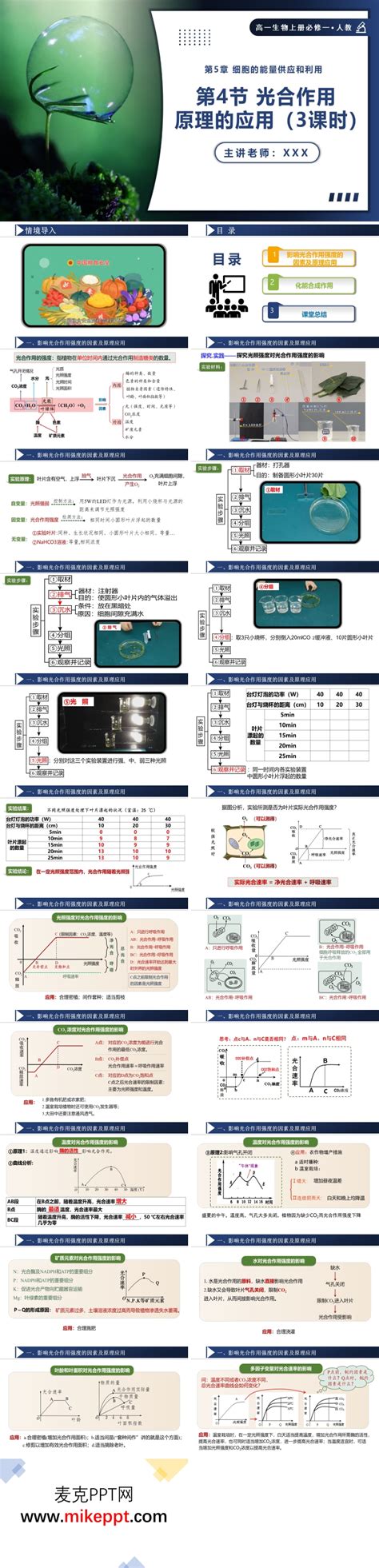 高一人教生物上册必修一5 4 3光合作用原理的应用ppt课件含教案 麦克ppt网