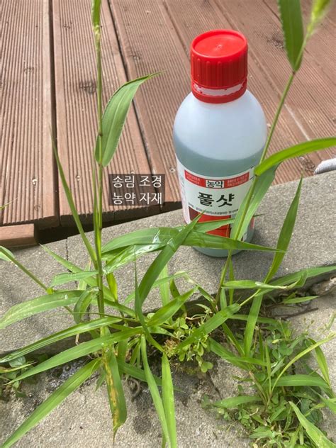 잡초 죽이기 모든 풀을 죽이는 제초제 비선택성 제초제 풀샷 바스타 제초제 비교 나에게 필요한 제초제