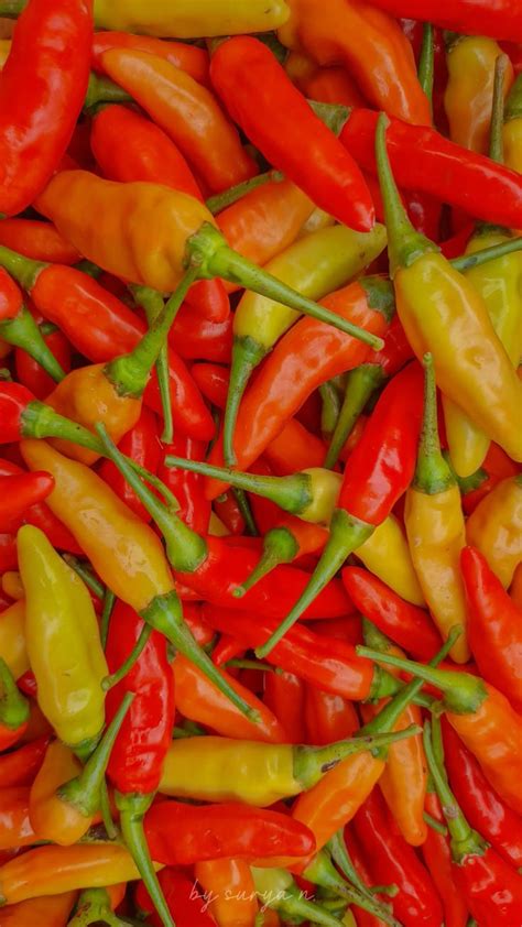 Cabe Cabe Resep Ikan Bakar Makanan Dan Minuman Ide Makanan