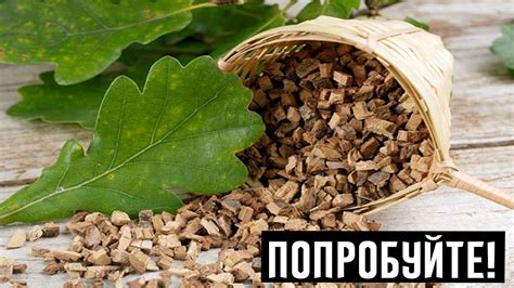 Походы к стоматологу ей больше не нужны! Всего 1 бумажная пачка из ...