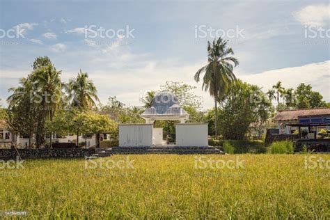 Beautiful Rice Field Scenery At Laman Padi Langkawi In Langkawi
