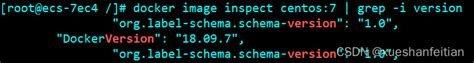 Docker学习笔记三docker查看容器内软件详情查看docker中安装的软件 Csdn博客
