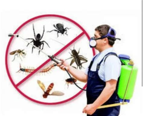 Household Pest Control At ₹ 1sq Ft In Hyderabad Id 2854521037412