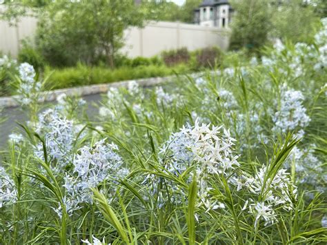 Todd Haiman Landscape Design