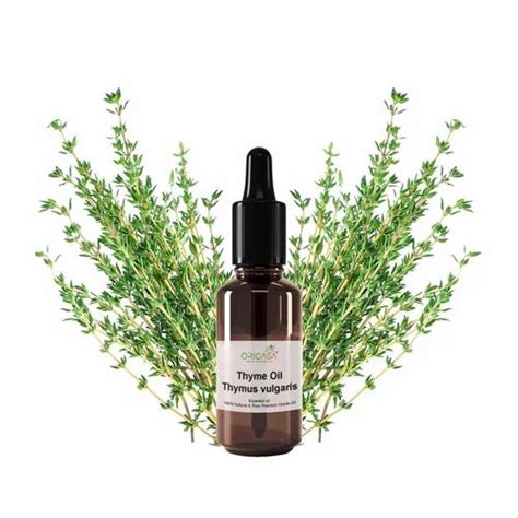 Organic Thyme Essential Oil Thymus Vulgaris At Rs 800kg Essential