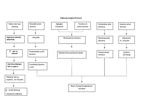 Pathway Angina Pectoris Kmb 1 Karyn Gloria Angela Pelealu Pdf