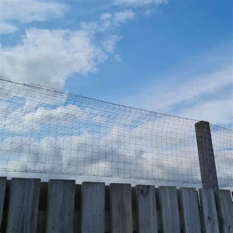 Bird Proofing Aberdeen Bird Netting And Bird Spikes Lppc Environmental