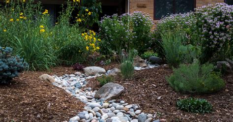 13 Front Yard Xeriscape Landscaping Ideas With Photos Of Drought