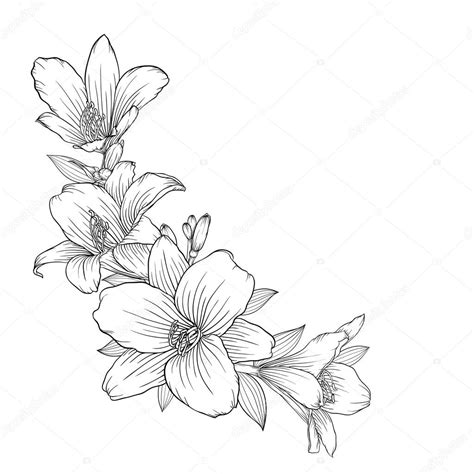 背景に分離された美しいモノクロの白と黒の花束ユリ イラスト素材 © Janehulinska 128128738