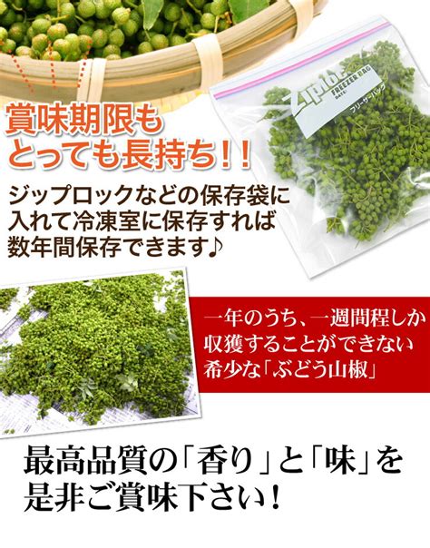 【楽天市場】【2017年の実山椒 予約】（クール便配送）山椒の実（生）紀州和歌山特産 山の宝石 国産ぶどう山椒500g （実山椒）2017年5