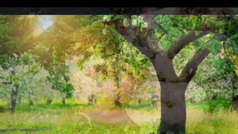 Lets Build A Moba Game In Typescript And Phaserjs Youtube