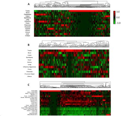 unsupervised hierarchical clustering of mrna expression profile of the