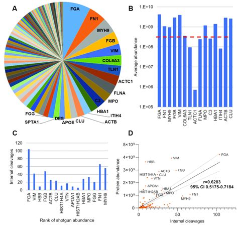 Fibrinogen And Fibronectin Have The Most Numerous Internal Cleavages In Download Scientific