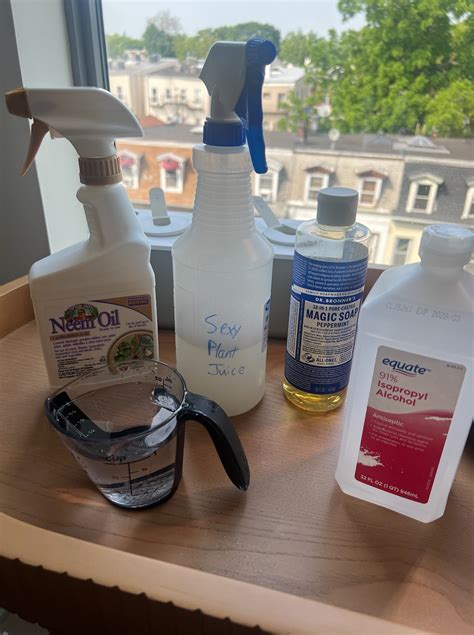 Add This Sexy Plant Juice Spray To Your Gardening Routine Asap