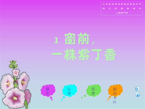 二年级下册窗前一株紫丁香课件语文a版