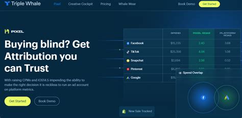 The Top 10 Facebook Analytics Tools For 2022 Triple Whale