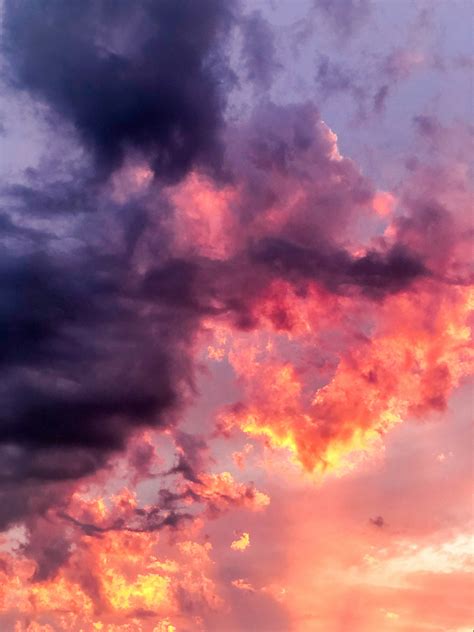 Streamlit Community Cloudでwebアプリを公開する際の準備事項