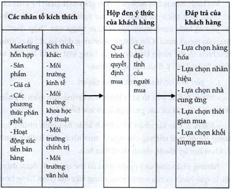 Top 77 Về Mô Hình Hộp đen Hay Nhất Vn