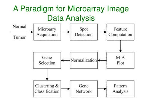 Ppt Gene Discovery From Microarray Images Powerpoint Presentation