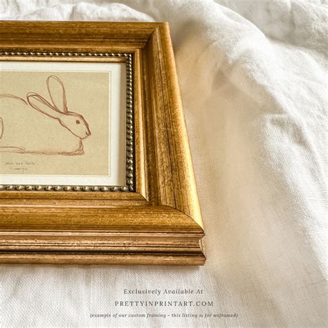 Bunny Rabbit Sketch 00586 Unframed Pretty In Print Art Ltd