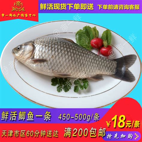 天津鲜活鲫鱼活体野生鲫瓜子同城淡水鱼月子煲汤不包邮鲈桂鱼 虎窝淘