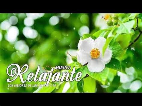 La Musica Mas Romantica Instrumental Las Melodias Mas Bellas Del