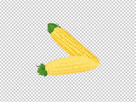 Premium Psd Corn Cob Maize Illustration