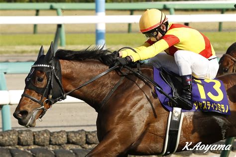 皐月賞優勝馬ジャスティンミラノ画像 競馬情報ハミ受け良好